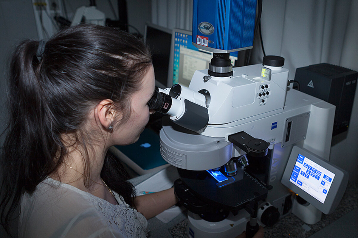 PhDs | International PhD Programme | Research Institute of Molecular ...