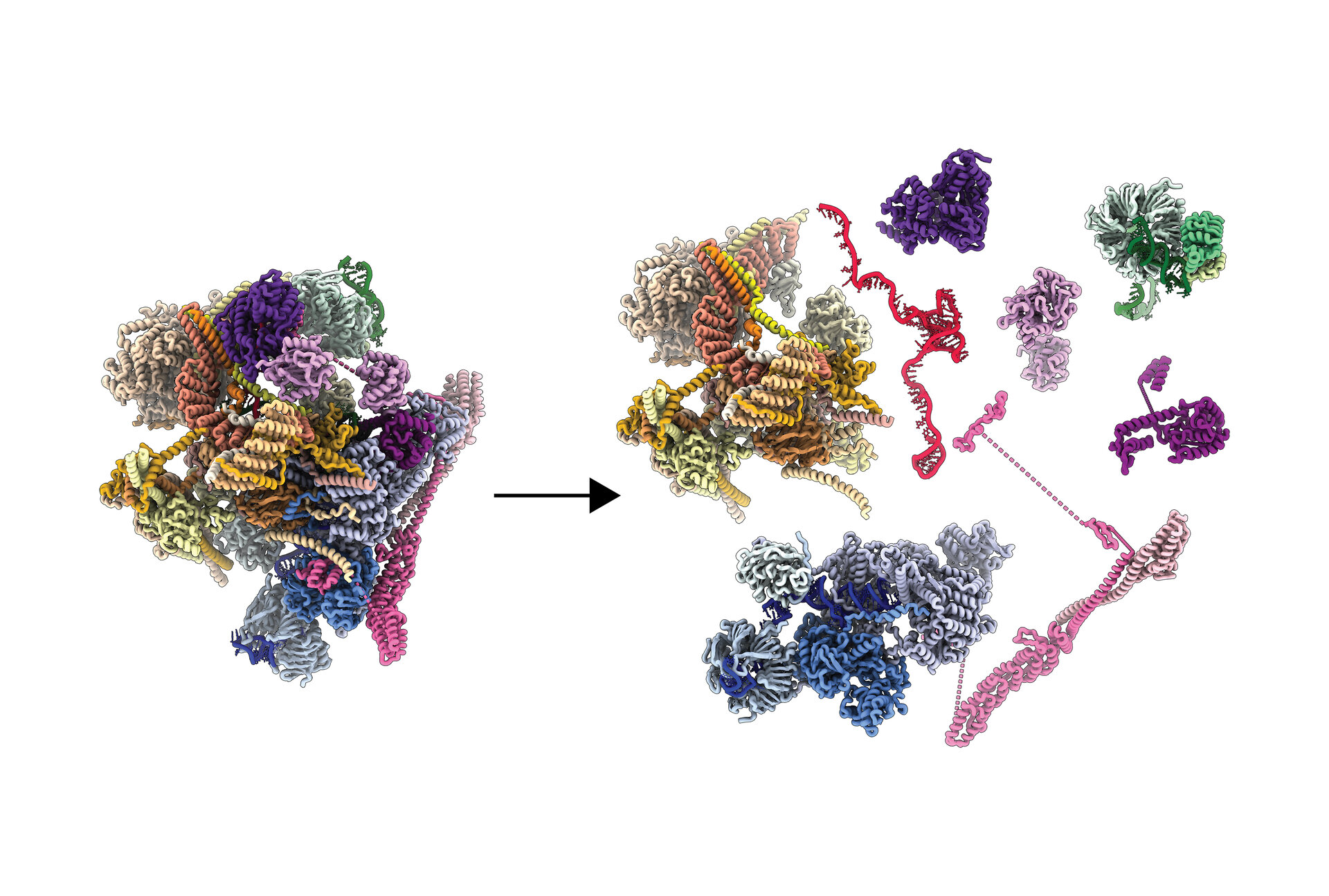 Unlocking the disassembly of a molecular editor | Research Institute of ...